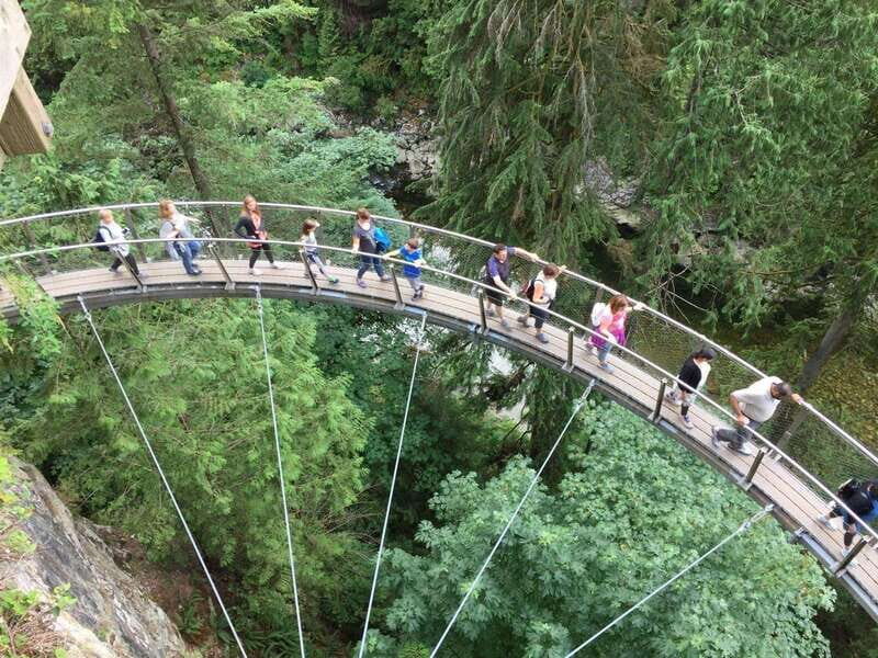 Vancouver: City and Mountain Adventure with Grouse Mountain - Who Should Consider This Tour?