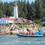 Vancouver: City and Seal Boat Tour - Frequently Asked Questions (FAQs)