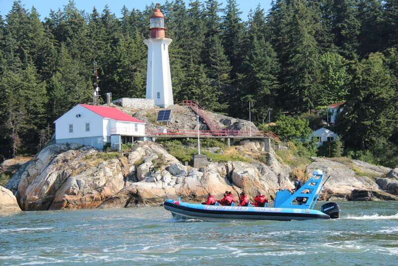 Vancouver: City and Seal Boat Tour - Frequently Asked Questions (FAQs)