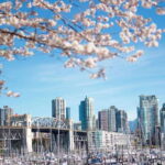 Vancouver: City & Granville Island Sightseeing Trolley Tour - The Guides and Their Impact
