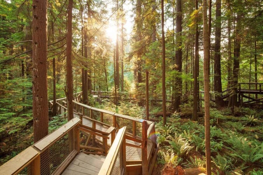 Vancouver: City Highlights Bus Tour - What’s Included and What to Expect