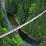 Vancouver City Sightseeing Tour: Capilano Suspension Bridge & Vancouver Lookout - What You Get for the Price