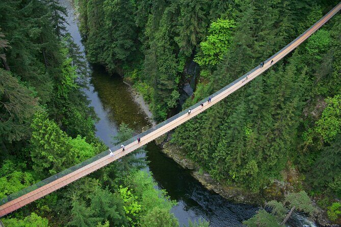 Vancouver City Sightseeing Tour: Capilano Suspension Bridge & Vancouver Lookout - What You Get for the Price