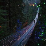 Vancouver: City Tour with Capilano Suspension Bridge - What Does the Tour Really Offer?