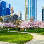 Vancouver City Tour with Cherry Blossom Festival Private - Who Will Love This Tour?
