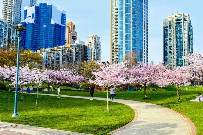 Vancouver City Tour with Cherry Blossom Festival Private - Who Will Love This Tour?