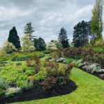 Vancouver City Tour With Grand Lunch and Wine - Who Would Love This Tour?