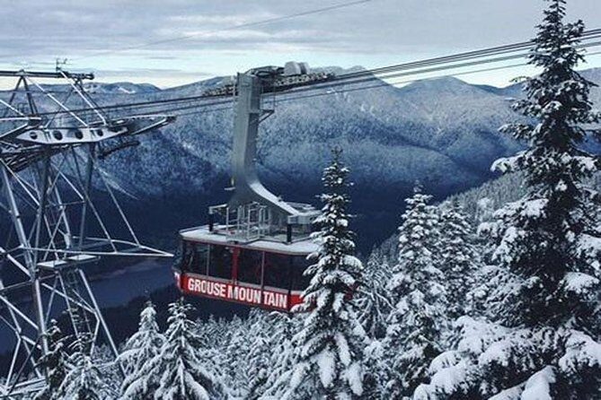 Vancouver City Tour With Stanley, Grouse Mountain & Capillano Suspension Private - The Authentic Vancouver Experience