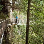Vancouver: City+Lookout+Capilano Suspension Bridge Ticket - Summary