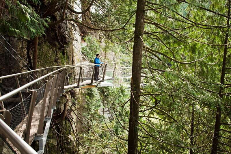 Vancouver: City+Lookout+Capilano Suspension Bridge Ticket - Summary