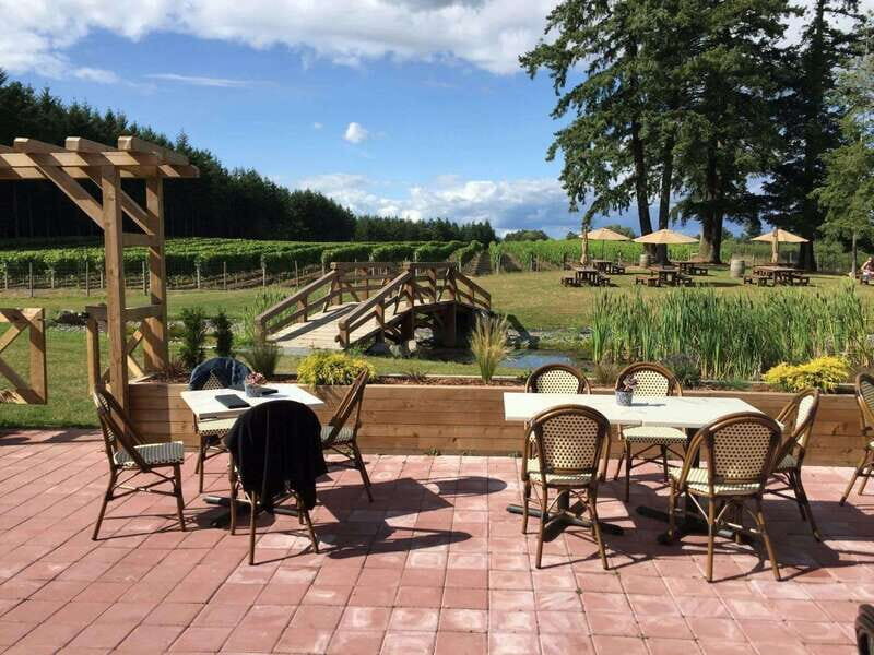 Vancouver: Fraser Valley Wine Tasting Tour - Why This Tour Works