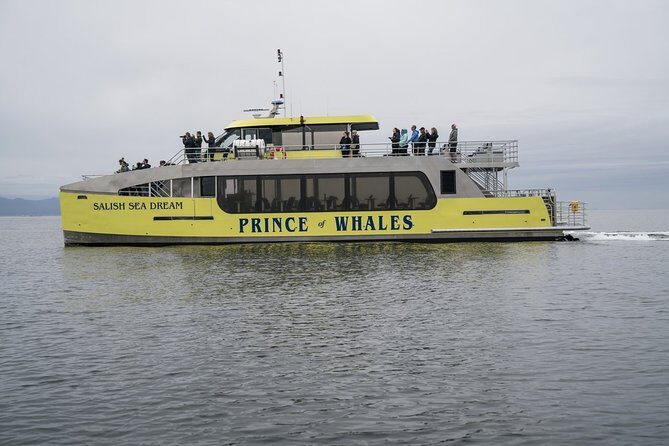 Vancouver Half-Day Whale Watching Adventure with Free Photos - What to Expect on the Water