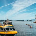 Vancouver Island Half-Day Whale Watching Tour - Telegraph Cove - Who Will Love This Tour?
