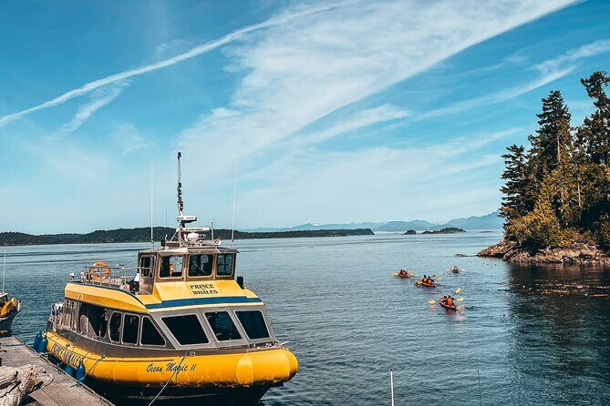Vancouver Island Half-Day Whale Watching Tour - Telegraph Cove - Who Will Love This Tour?