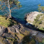Vancouver: Lighthouse Park Hike - Scenic Views and Photo Opportunities