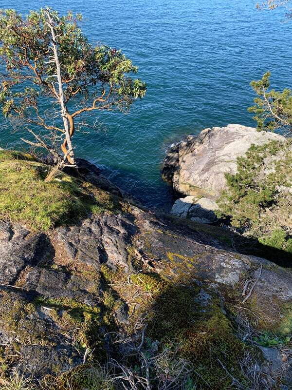 Vancouver: Lighthouse Park Hike - Scenic Views and Photo Opportunities