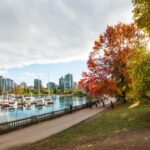 Vancouver Lookout Private Tour with Skip-the-line Tickets - Who Will Love This Tour?