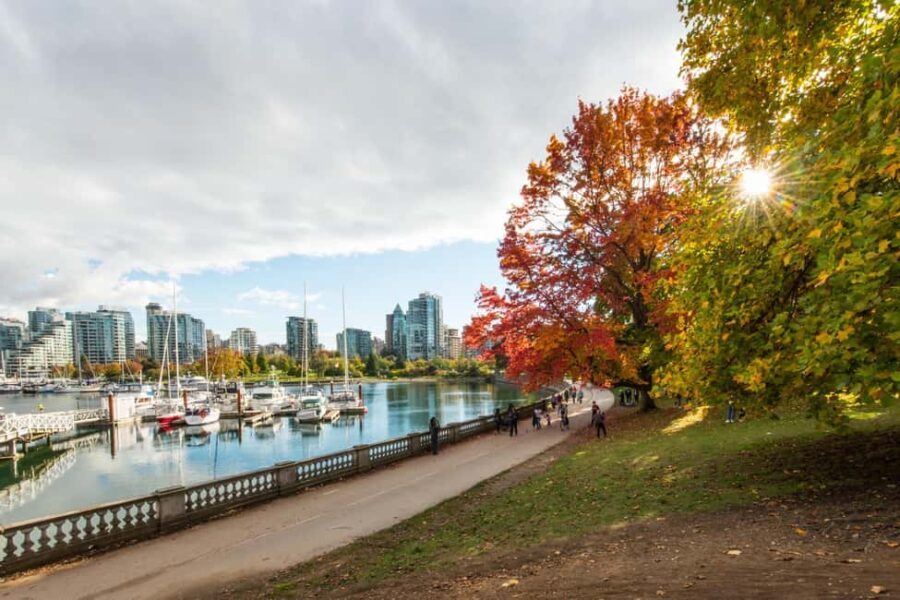 Vancouver Lookout Private Tour with Skip-the-line Tickets - Who Will Love This Tour?