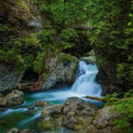 Vancouver: Lynn Valley Suspension Bridge & Nature Walk Tour - Practical Details and Value