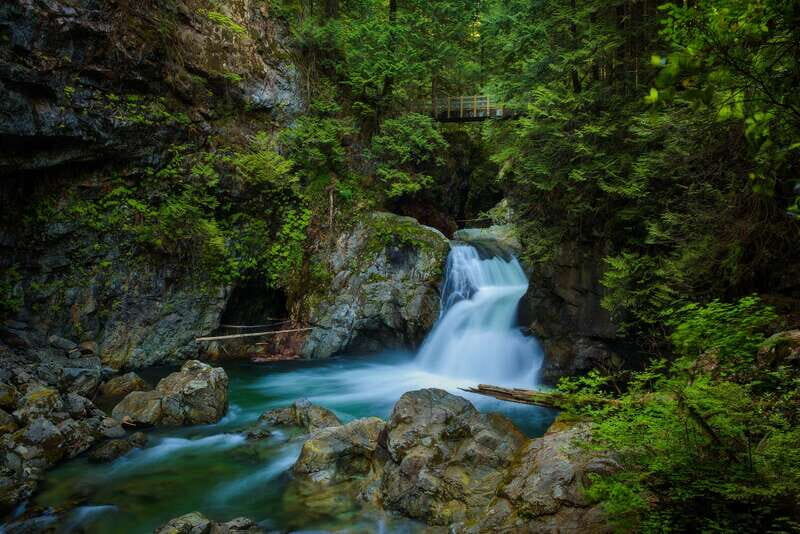 Vancouver: Lynn Valley Suspension Bridge & Nature Walk Tour - Practical Details and Value