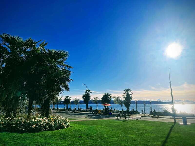 Vancouver Marvels: Private Day Tour Exploring 25 Attractions - A Fully Guided Day in Vancouver: What to Expect