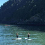 Vancouver: Morning Kayak & Seal Cruise - What the Reviews Say