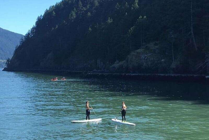 Vancouver: Morning Kayak & Seal Cruise - What the Reviews Say