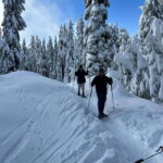 Vancouver: North Shore Mountains Snowshoeing with Transfer - Evaluating Value: Price and What You Get