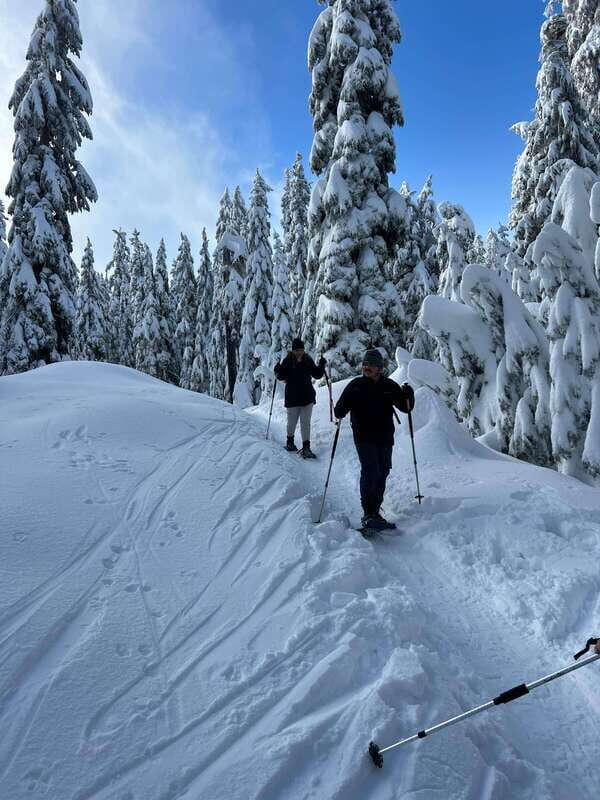 Vancouver: North Shore Mountains Snowshoeing with Transfer - Evaluating Value: Price and What You Get