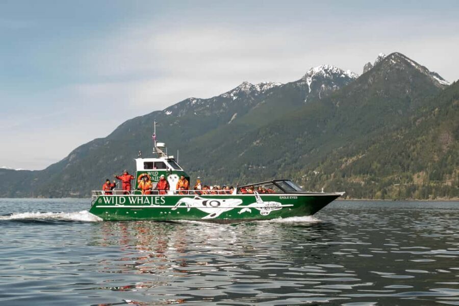 Vancouver: Open-air Whale Watching Tour, Granville Island - Who Should Consider This Tour?