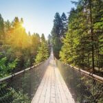 Vancouver Panorama Scenic Seaplane Tour + Suspension Bridge Tour - Who Would Love This Tour?