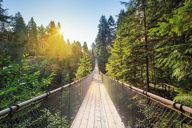 Vancouver Panorama Scenic Seaplane Tour + Suspension Bridge Tour - Who Would Love This Tour?