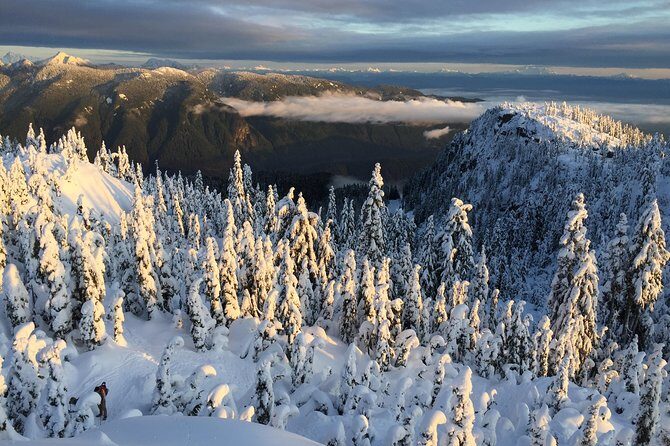 Vancouver Panoramic View Hike - An In-Depth Look at the Tour Experience