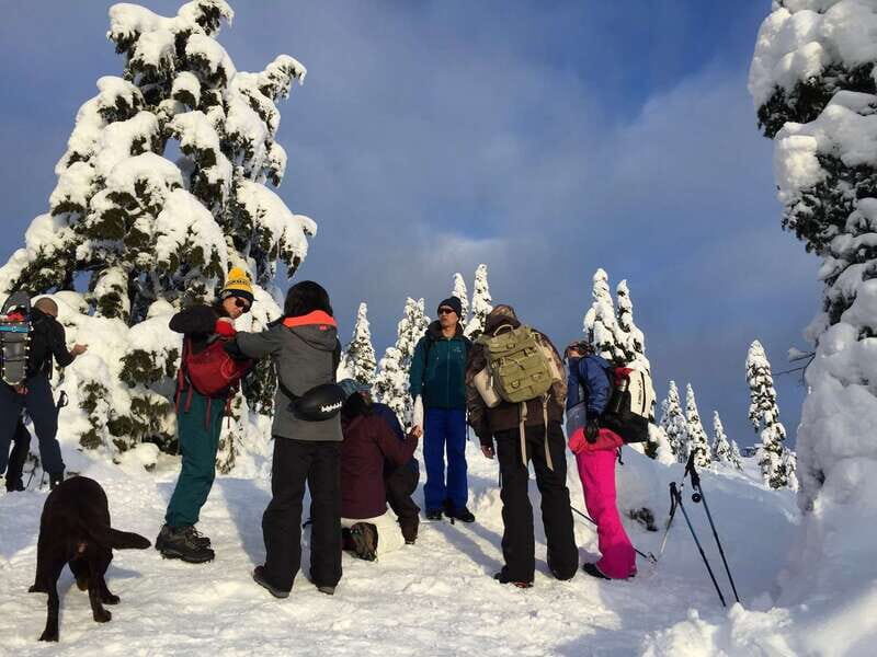 Vancouver: Panoramic View Hiking Tour - Final Thoughts: Is This Tour Right for You?