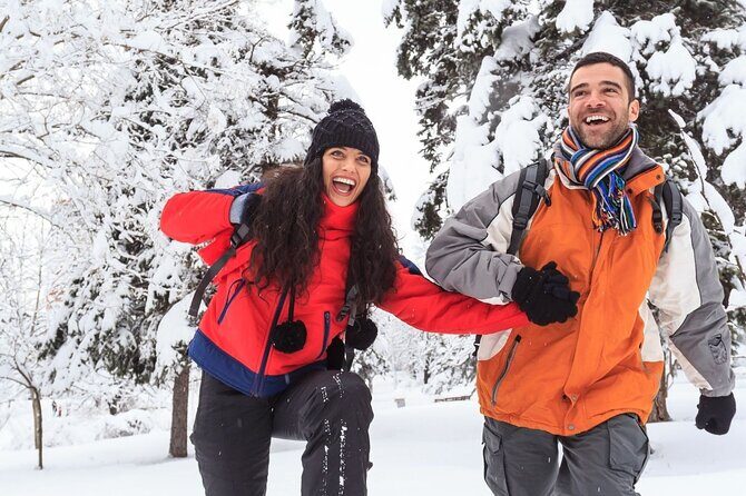 Vancouver Pre & Post Cruise Capilano & Grouse mountain tour - Why This Tour Is a Solid Value