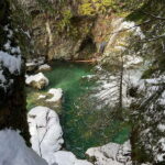 Vancouver: Rainforest Waterfall Hike and Suspension Bridge - The Trail: A Walk Through Vancouver’s Wilderness