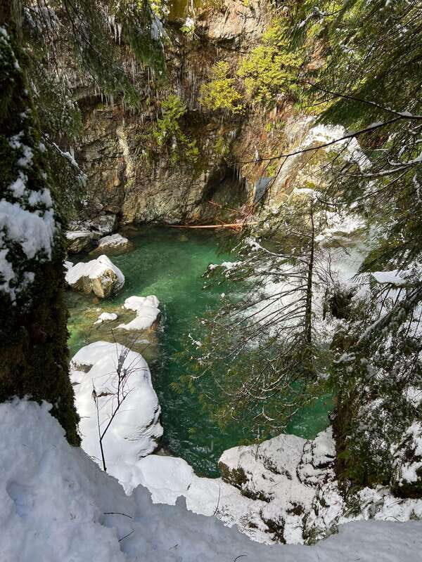 Vancouver: Rainforest Waterfall Hike and Suspension Bridge - The Trail: A Walk Through Vancouver’s Wilderness