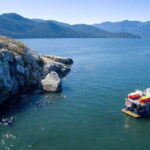 Vancouver: Scuba Boat Dive in Horseshoe Bay - Who Will Love This Experience?