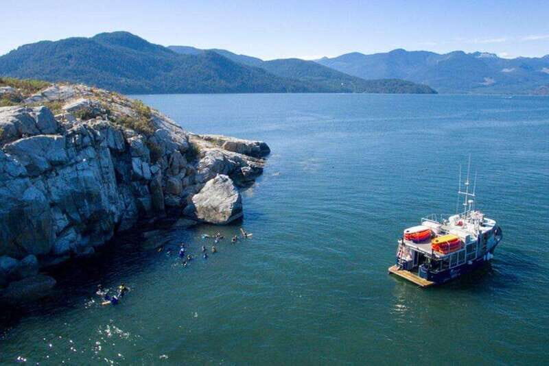 Vancouver: Scuba Boat Dive in Horseshoe Bay - Who Will Love This Experience?