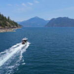 Vancouver: Snorkeling Seals Kayaking Scenic Boat Tour - Who Should Consider This Tour?
