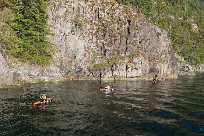 Vancouver: Snorkeling Seals Kayaking Scenic Boat Tour - Authentic Feedback from Participants