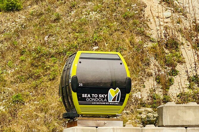 Vancouver, Squamish & Shannon fall Day Private Tour - Who Will Love This Tour?