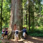 Vancouver: Stanley Park Bike Tour | E-Bike Upgrade Avail. - A Complete Look at the Stanley Park Bike Tour
