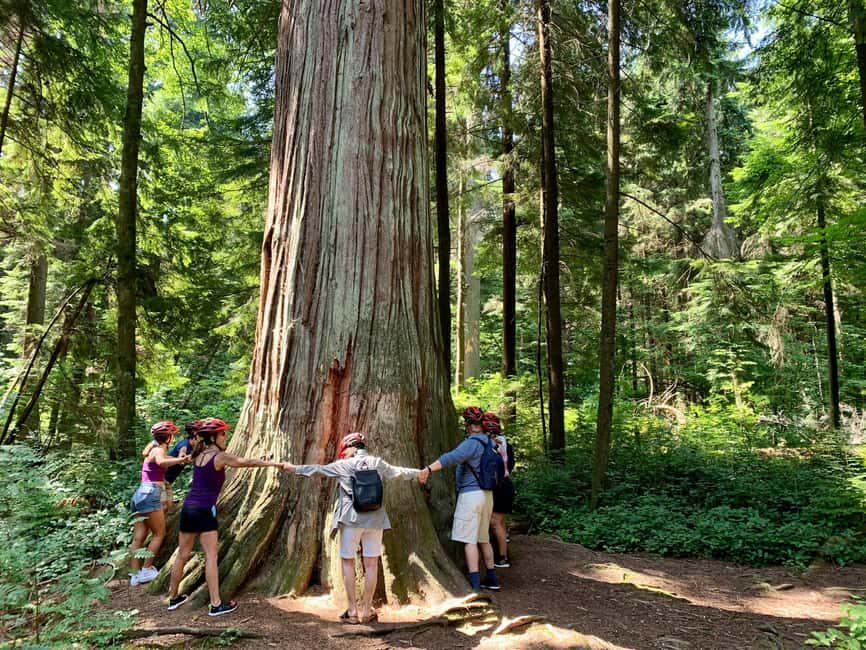 Vancouver: Stanley Park Bike Tour | E-Bike Upgrade Avail. - A Complete Look at the Stanley Park Bike Tour