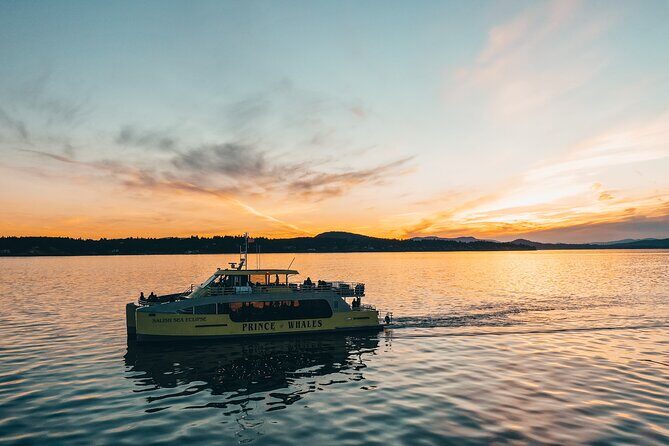 Vancouver Sunset Whale Watching Adventure with Free Photos - The Value of the Experience