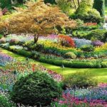 Vancouver, Victoria & Whistler 3 days in one Combo Tour. - Who Will Love This Tour?