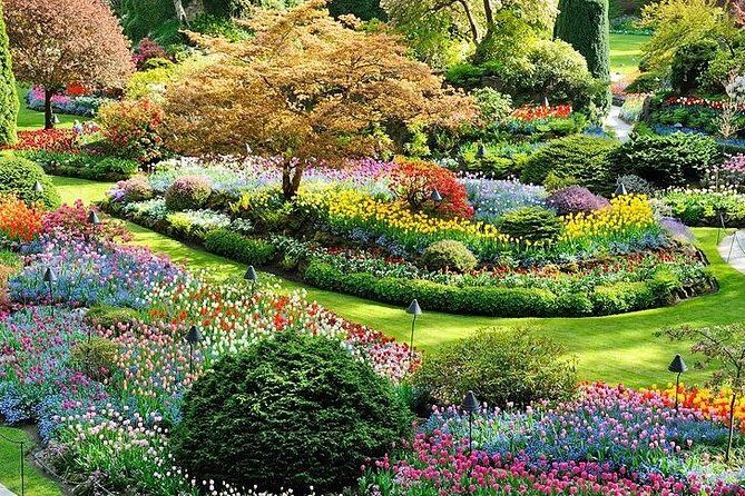 Vancouver, Victoria & Whistler 3 days in one Combo Tour. - Who Will Love This Tour?
