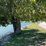 Vancouver Waterfront Guided Bike / Ebike Tour - What You Can Expect on the Itinerary