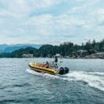 Vancouver: Waterfront Sightseeing Tour - City and Nature - Wildlife Encounters and Natural Highlights