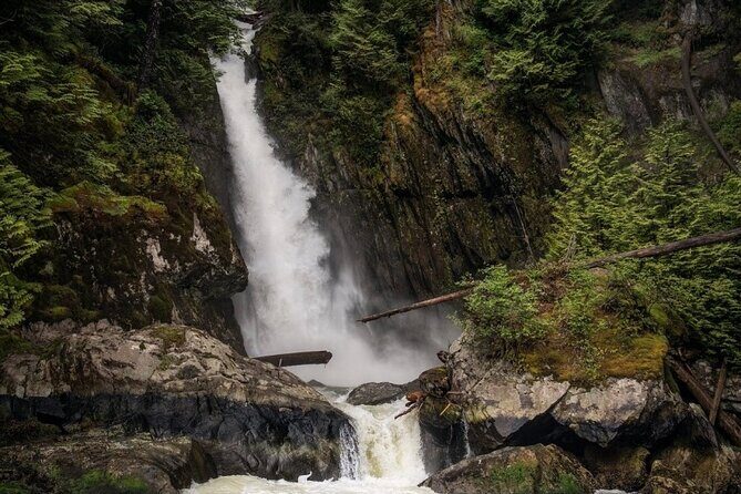Vancouver's City and Waterfall | Waterfront Sightseeing Tour - The Sum Up